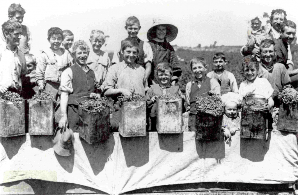 History of Reynella Primary School (1858 - 1902) - Reynella Primary School
